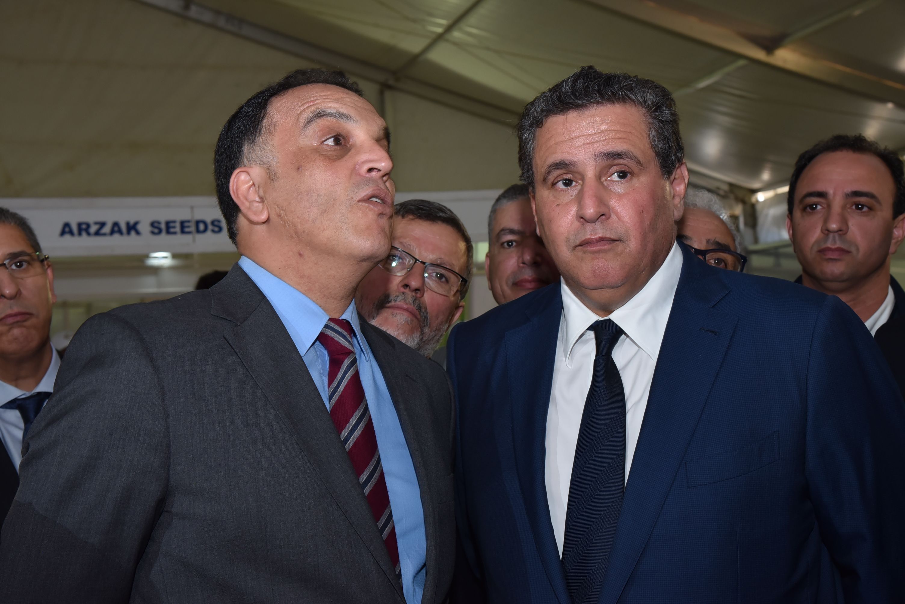 Festival National des Petits Fruits Rouges - AMAROC AGRO