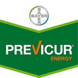 Previcur_Energy_600.ashx - AMAROC AGRO
