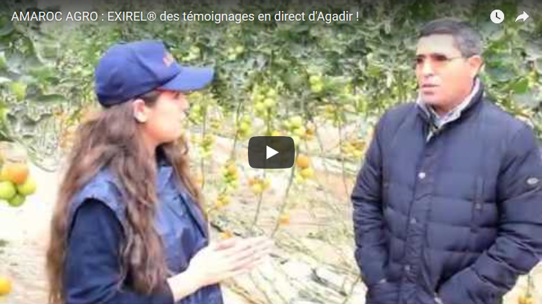 Screenshot-2017-10-18 EXIREL® des témoignages en direct d'Agadir - AMAROC AGRO - AMAROC AGRO