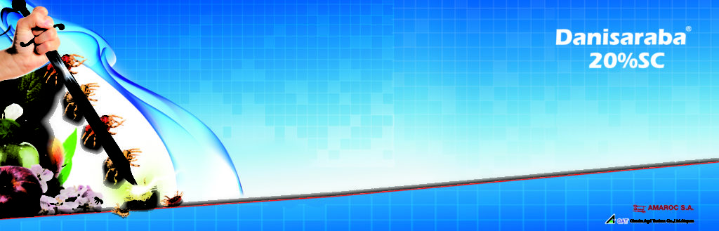 Insertion Danisaraba2 - AMAROC AGRO