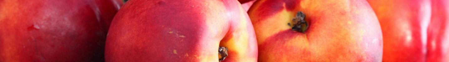 nectar - AMAROC AGRO