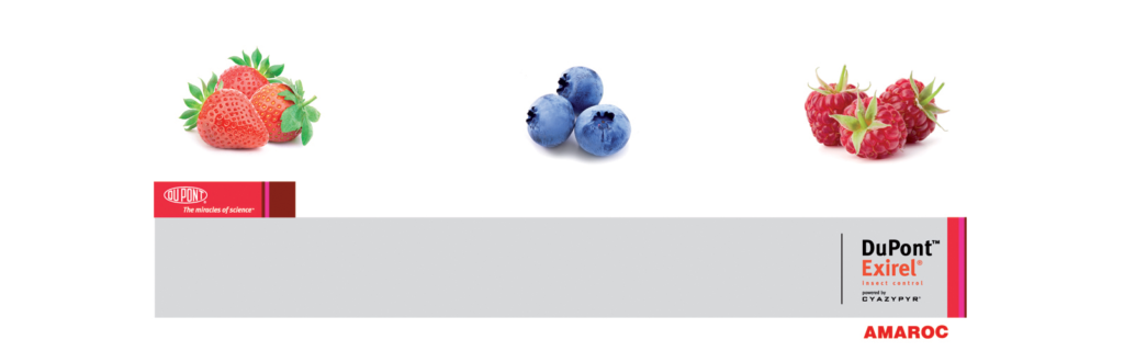 insertion-exirel-0002 - AMAROC AGRO