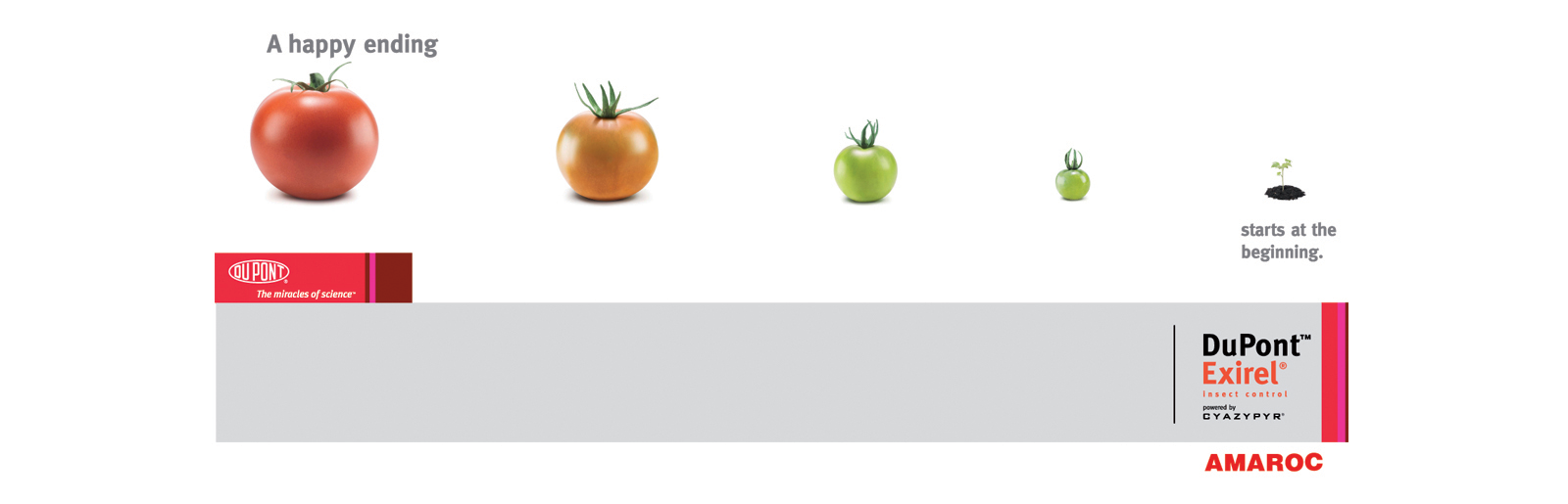 insertion-exirel-001 - AMAROC AGRO