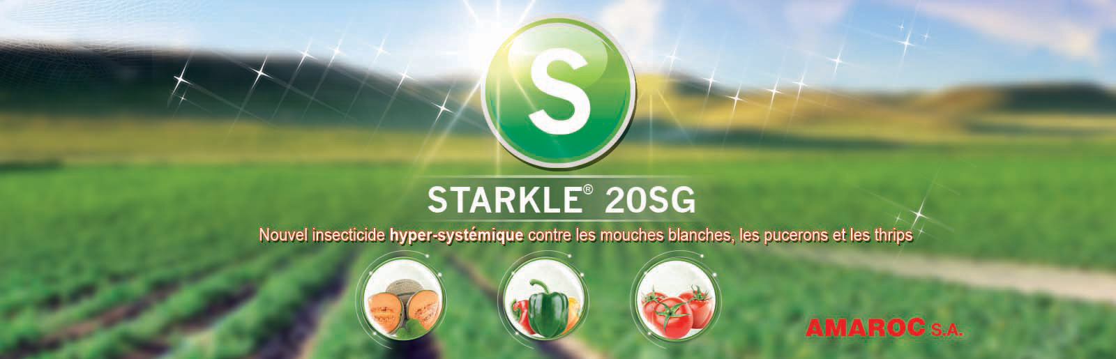 insertion-starkle - AMAROC AGRO