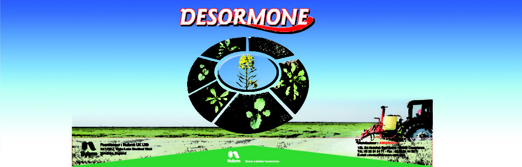 Insertion Desormone - AMAROC AGRO