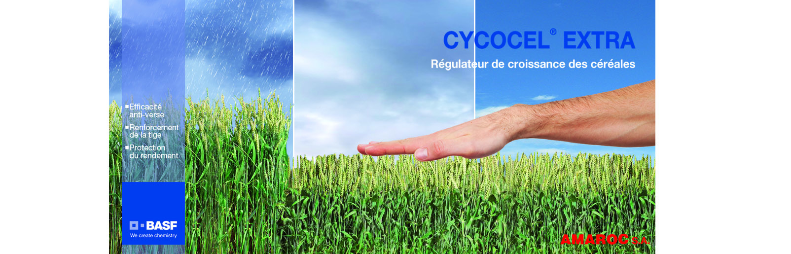 Insertion-cycocel - AMAROC AGRO